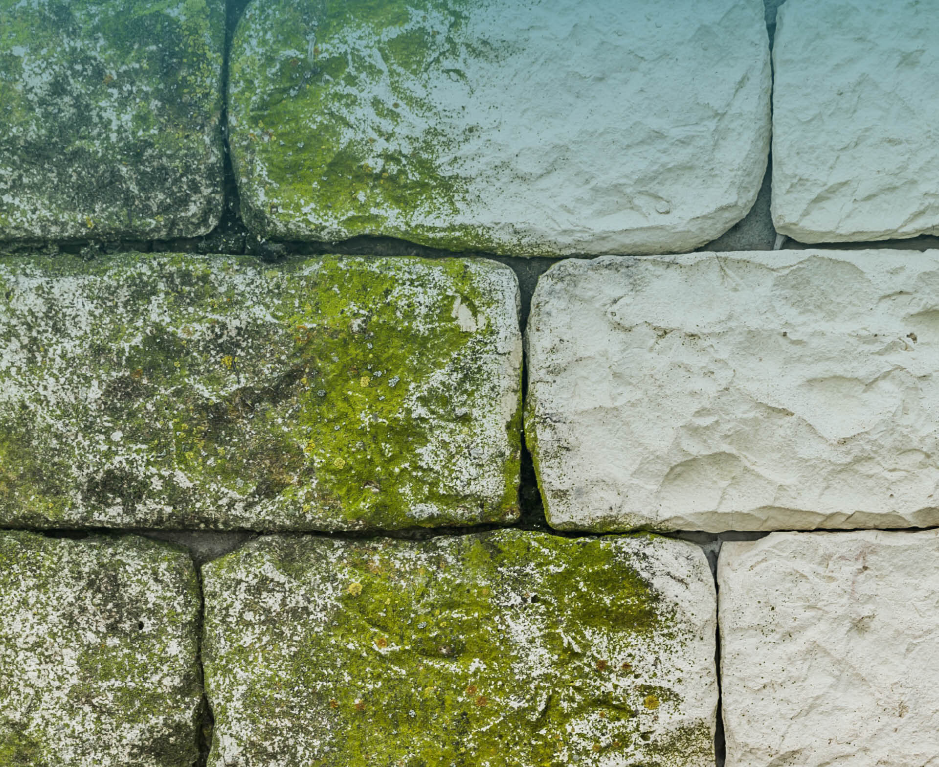 På forkant med algerne med Nova Surface Plus - Cabola